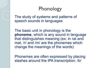 Phonetics: The Sounds of Language | PPTX