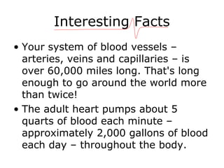 05 circulation | PPT