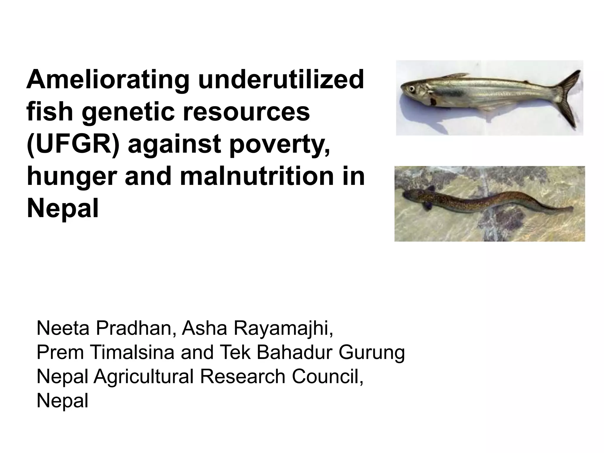 Ameliorating underutilized fish genetic resources (UFGR) against ...