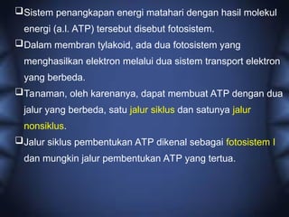 05-fotosintesis terjadi pada tumbuhan.ppt
