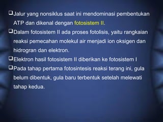 05-fotosintesis terjadi pada tumbuhan.ppt