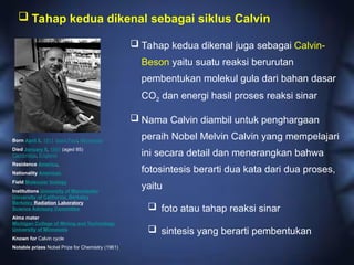 05-fotosintesis terjadi pada tumbuhan.ppt
