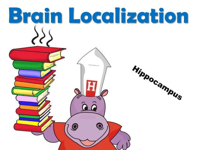 Localization of Function in the Brain | PPTX
