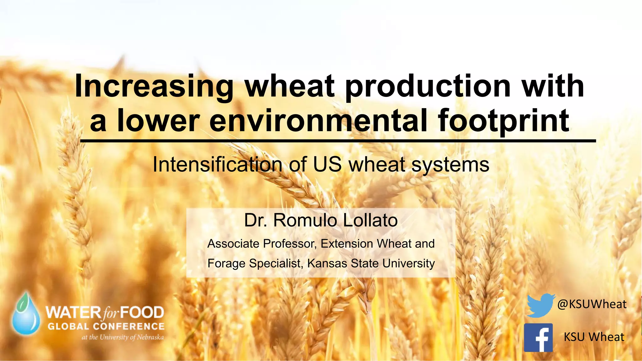 Increasing wheat production with a lower environmental footprint ...