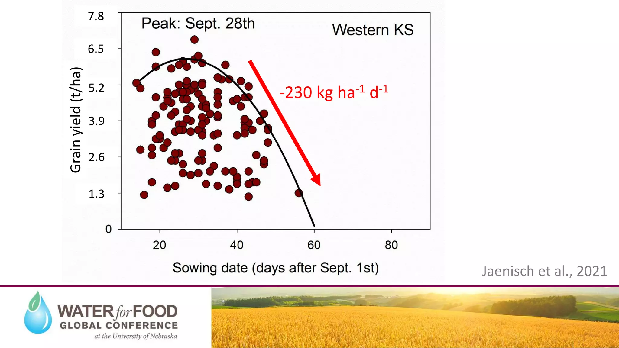Increasing wheat production with a lower environmental footprint ...