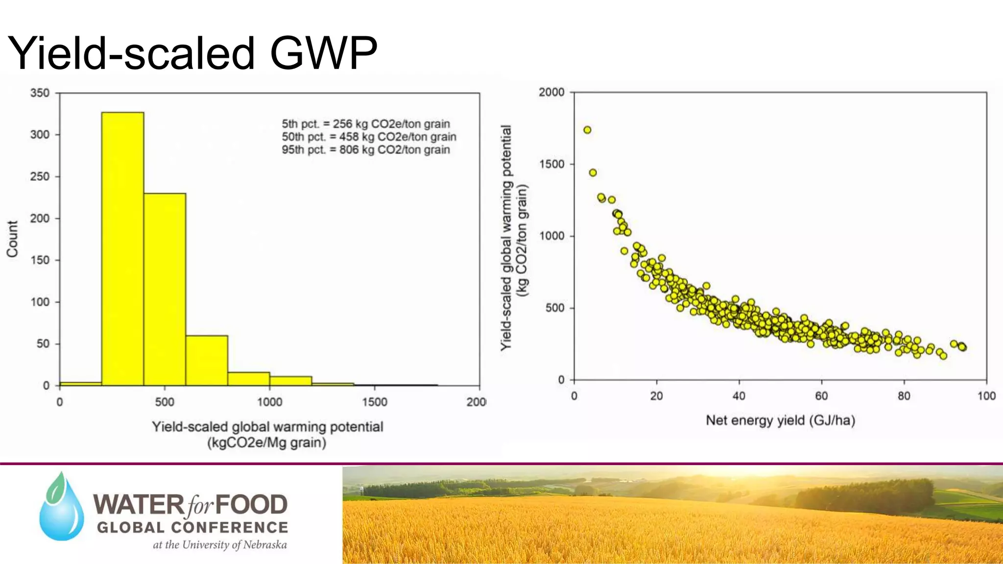 Increasing wheat production with a lower environmental footprint ...