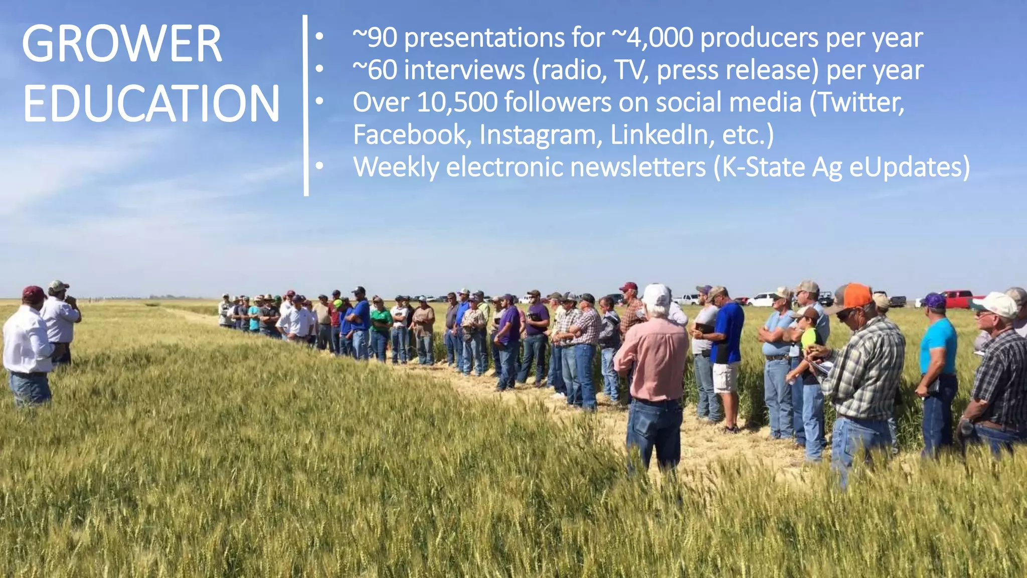 Increasing wheat production with a lower environmental footprint ...