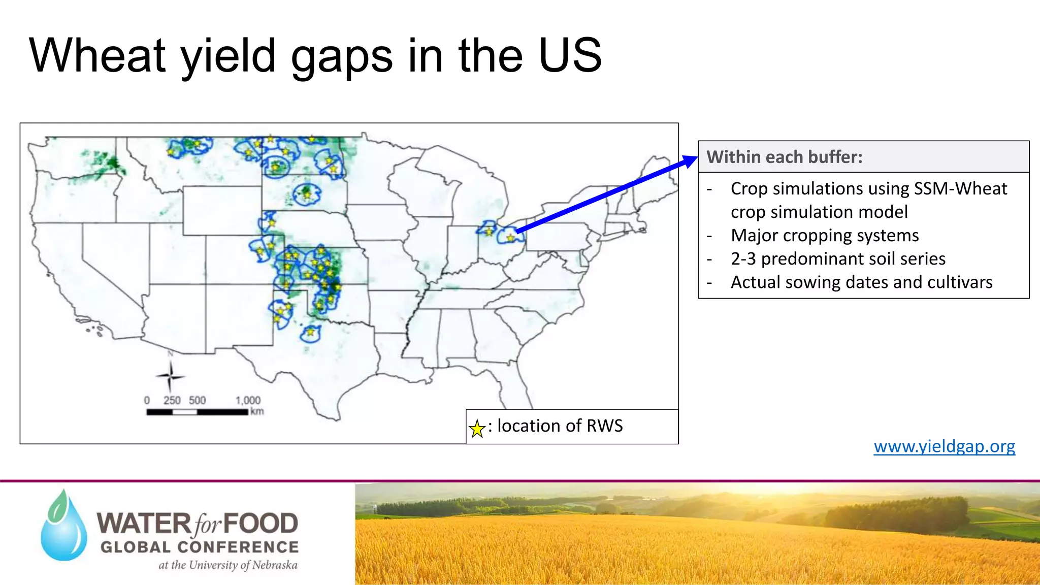 Increasing wheat production with a lower environmental footprint ...