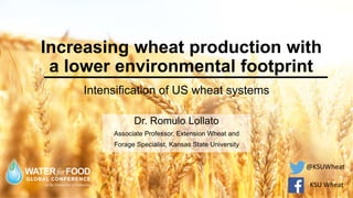 Increasing wheat production with a lower environmental footprint ...