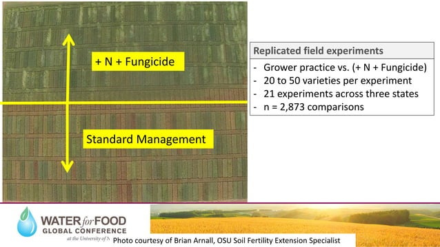 Increasing wheat production with a lower environmental footprint ...