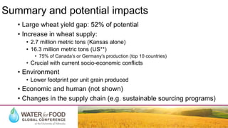 Increasing wheat production with a lower environmental footprint ...