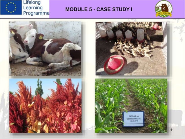 CASE STUDY: Moara Domneasca didactic farm | PPT