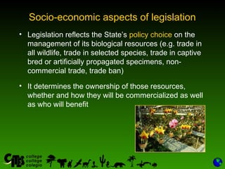 National Legislation | PPT