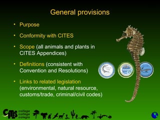 National Legislation | PPT