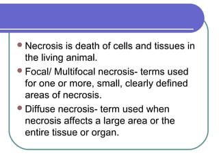 05 necrosis | PPT