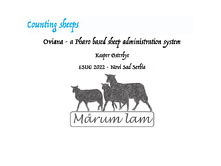 Counting Sheeps | PPT