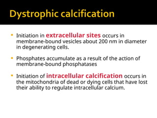 05-PATHOLOGIC CALCIFICATION ggg 2008.ppt | Bone and Joint Conditions ...