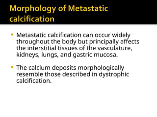 05-PATHOLOGIC CALCIFICATION ggg 2008.ppt