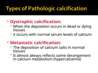 05-PATHOLOGIC CALCIFICATION ggg 2008.ppt | Bone and Joint Conditions ...