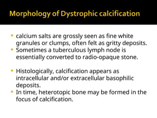 05-PATHOLOGIC CALCIFICATION ggg 2008.ppt