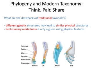 05 phylogeny modern taxonomy | PPTX