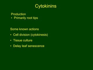 05 plant-growth-hormones | PPT