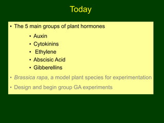 05 plant-growth-hormones | PPT