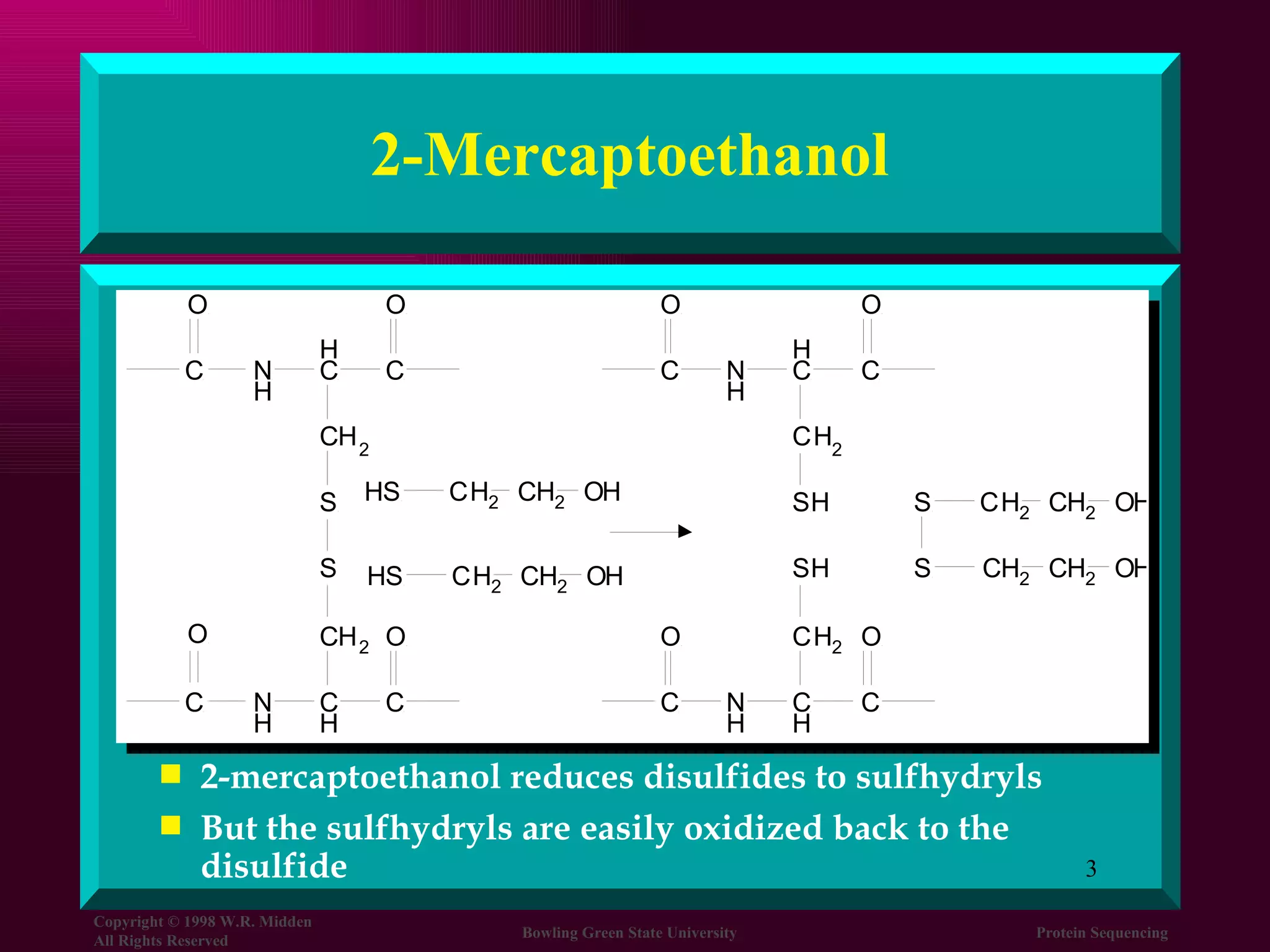 05. Protein Sequencing | PPT