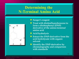 05. Protein Sequencing | PPT