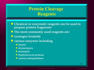 05. Protein Sequencing | PPT