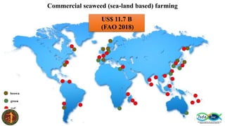 Asia-Pacific Seaweed: farming and its sustainability | PPTX