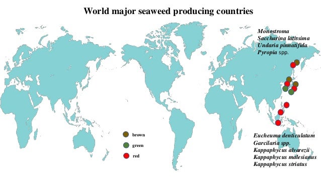 Asia-Pacific Seaweed: farming and its sustainability