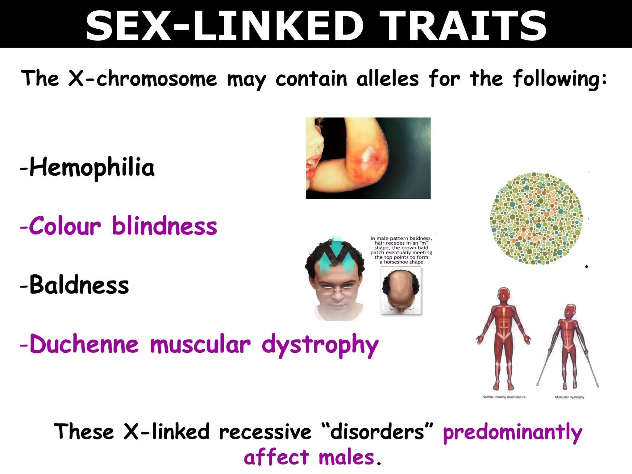 05 sex-linked inheritance | PPT
