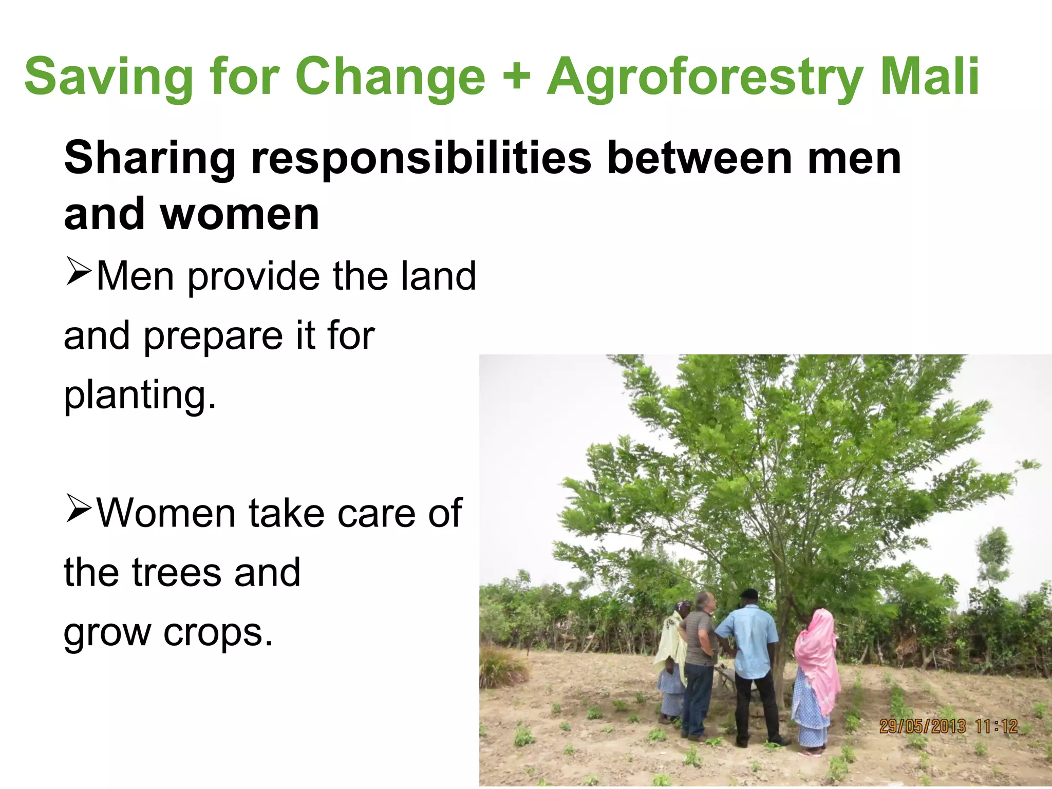 Saving for change and agriculture | PPT