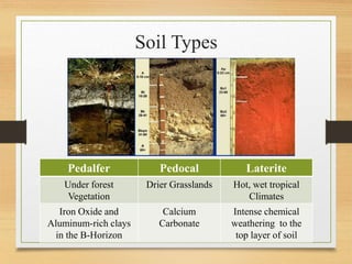 Soil and Environment.Geo 305 | PPTX