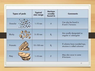 Soil and Environment.Geo 305 | PPTX