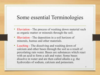 Soil and Environment.Geo 305 | PPTX