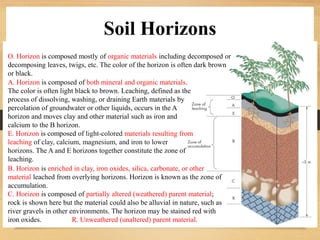 Soil and Environment.Geo 305 | PPTX