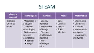 STEAM ugdymo akcentai | PDF