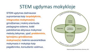STEAM ugdymo akcentai | PDF