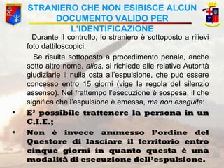 05 stranieri | PPT | Travel Preparation and Advice | Travel