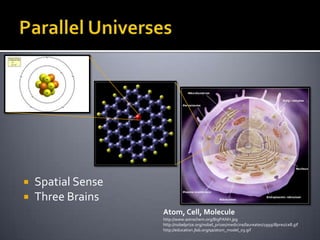 05 The 4th Dimension | PPT