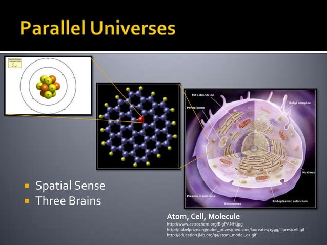 05 The 4th Dimension | PPT