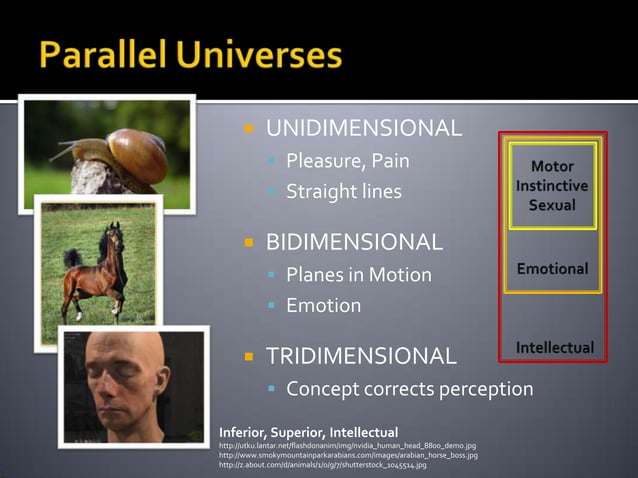 05 The 4th Dimension | PPT