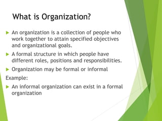 05- The Organizing Function.ppt