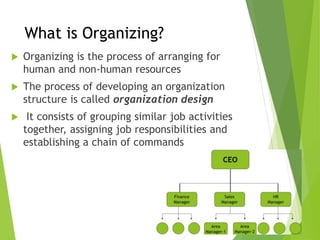 05- The Organizing Function.ppt