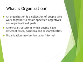 05- The Organizing Function (complete).ppt