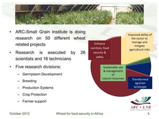 Wheat research in South Africa: Helping farmers grow their crop | PDF