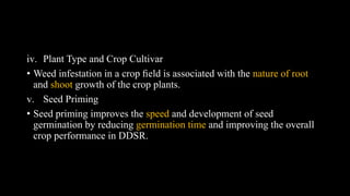 Weed Management in Dry Direct-Seeded Rice.pptx