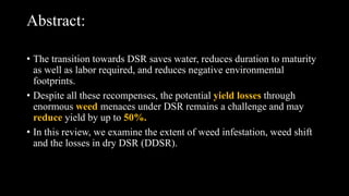 Weed Management in Dry Direct-Seeded Rice.pptx
